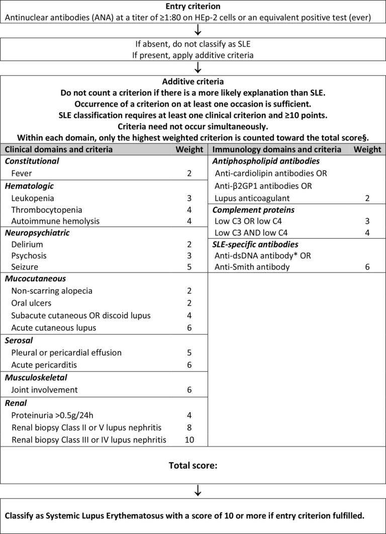 Systemic Lupus Erythematosus – Rheumatology TT