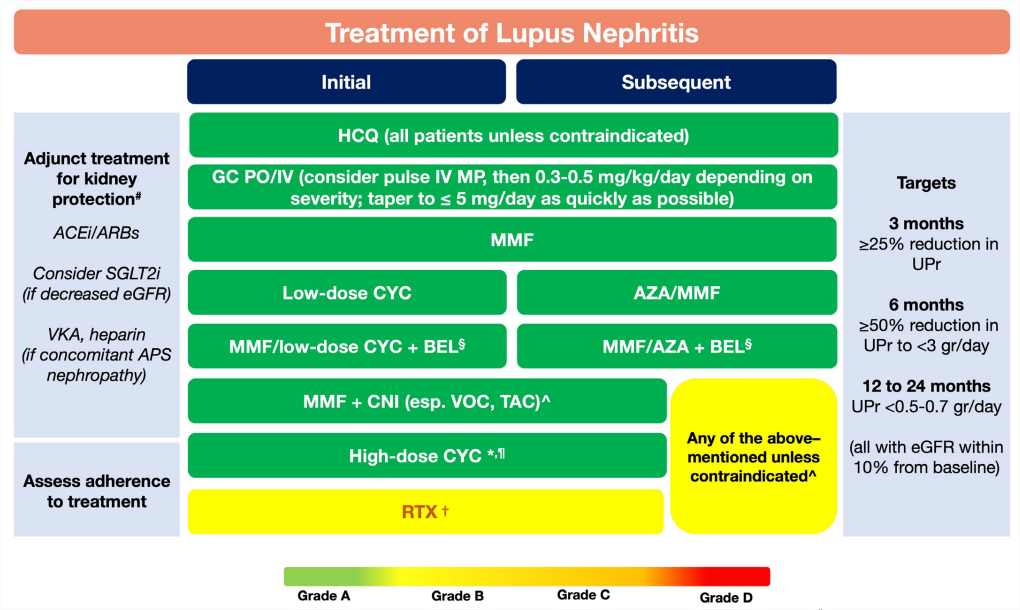 2023 EULAR recommendations for the management of systemic lupus ...